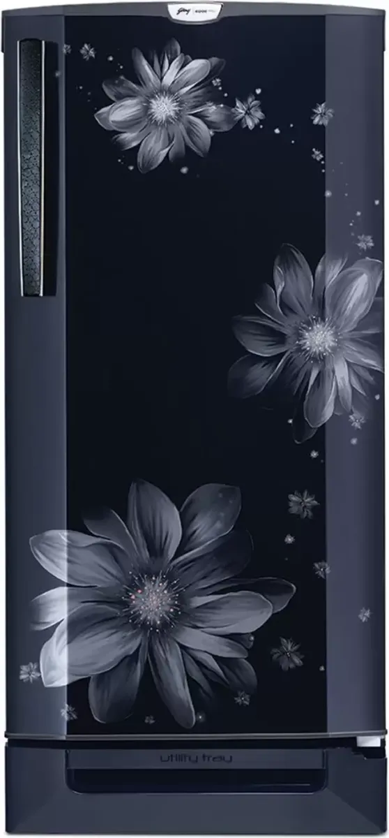 Godrej RD EDGEPRO 205D 43 TAI 190 L 4 Star Single Door Refrigerator ...