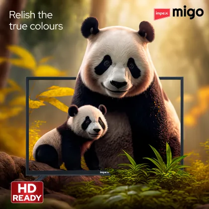 Impex IXT 32 M0E9BH 32 inch HD Ready LED TV Price in India 2025, Full ...