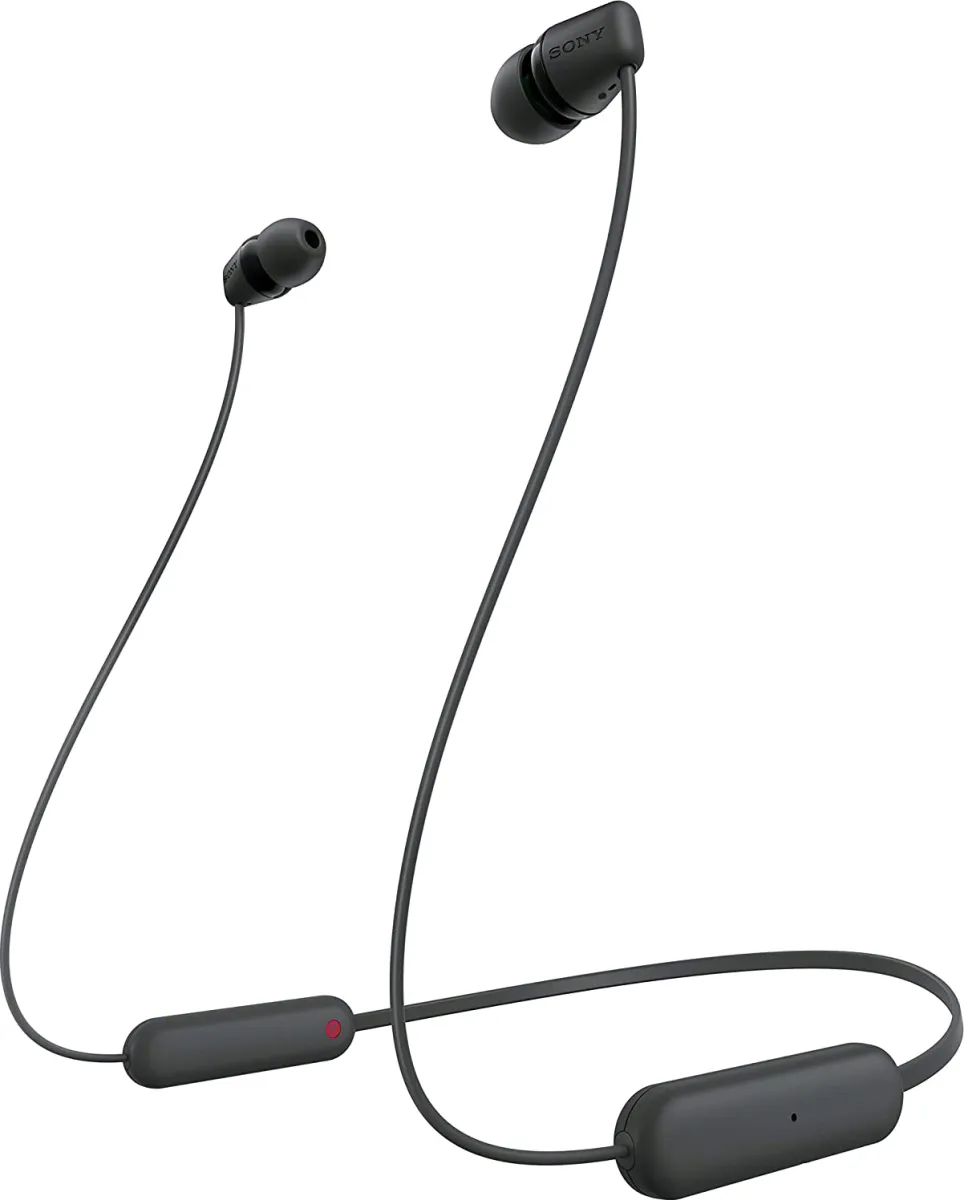 Sony WI-C100 Wireless Headset - Price in India (May 2026), Specs ...