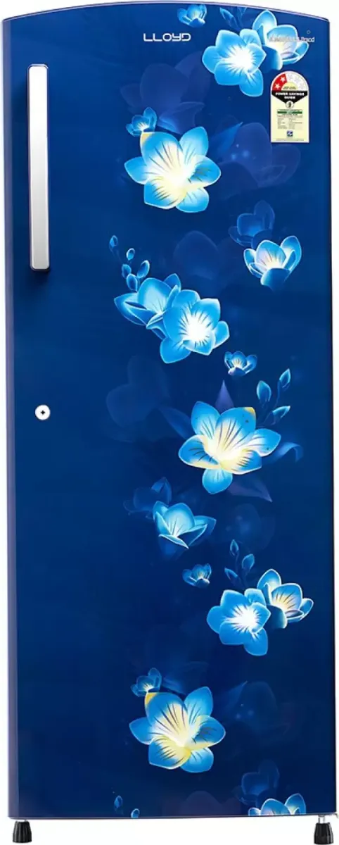 Lloyd GLDC272SGBT2PB 255L 2 Star Single Door Refrigerator - Price in ...