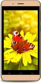 Intex Aqua Pro 4G vs Vivo Y16 | Smartprix