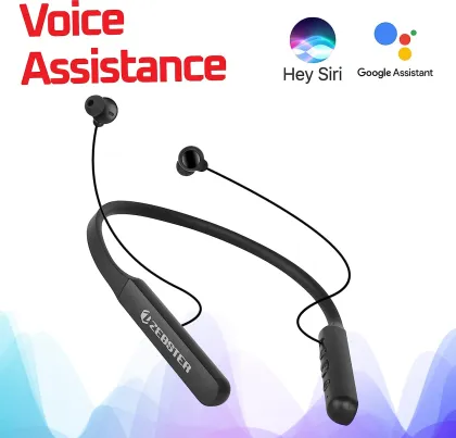 Zebster Z-Style 603 Wireless Neckband Price in India 2025, Full Specs ...