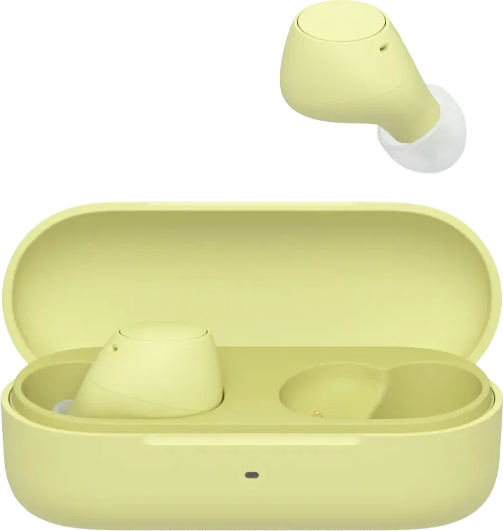 Sony WF-C510 True Wireless Earbuds - Price in India (May 2026), Specs ...