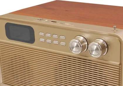 Maplin Vintage Retro AM01 40W Bluetooth Speaker Price in India 2025 ...