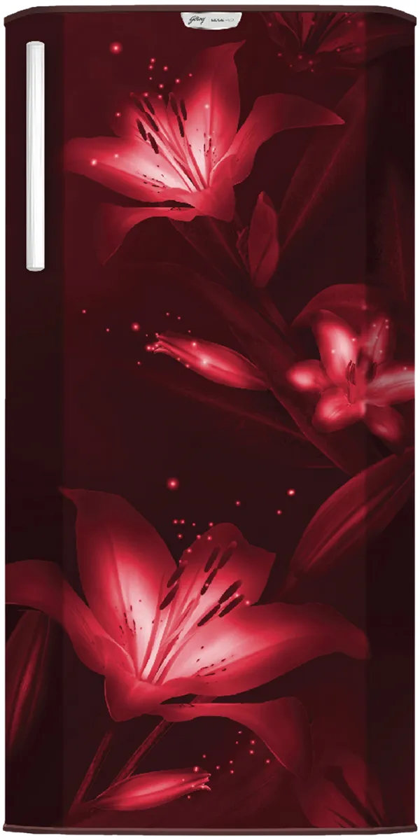 Godrej RD EDGERIO 207B 23 THF 192 L 3-Star Single Door Refrigerator ...