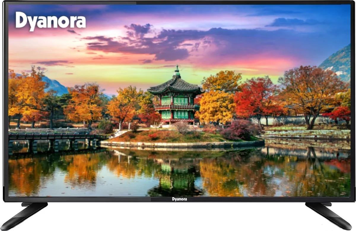 Dyanora DY-LD24H1N 24 inch HD Ready LED TV - Price in India (May 2026 ...