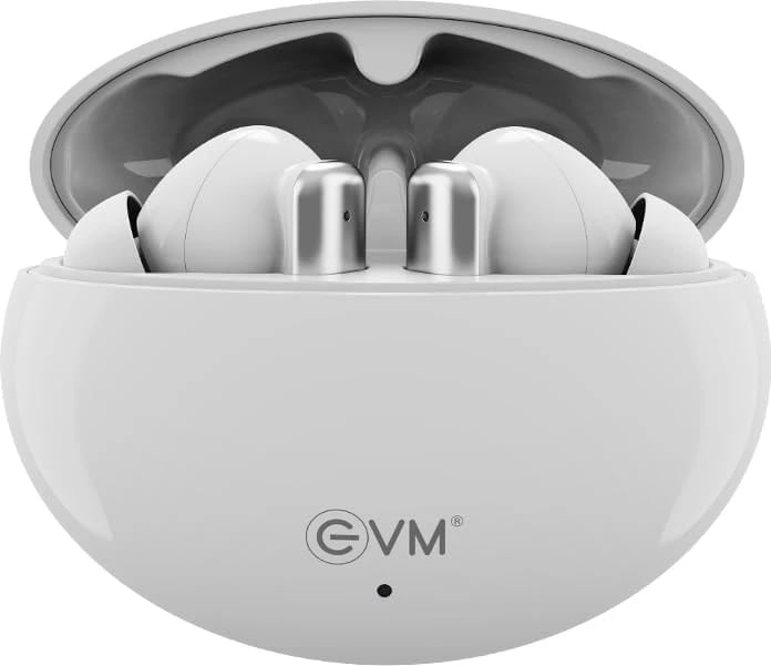 EVM EnBuds ANC True Wireless Earbuds Price in India 2024, Full Specs ...