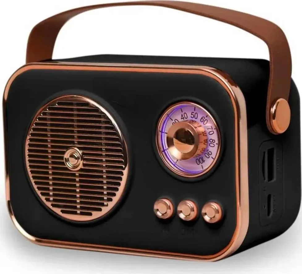 Neuton Radio 15W Bluetooth Speaker - Price in India (May 2026), Specs ...