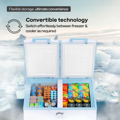 Godrej DH ESNCH 325E 2HCLP RW 302 L Double Door Deep Freezer - Price in ...