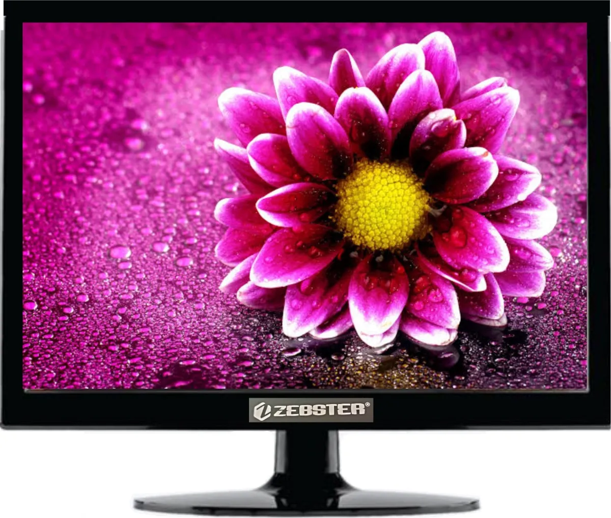 Zebster ZEB-V16 15.4 inch HD LED Monitor - Price in India (Apr 2026 ...