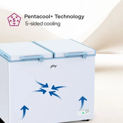 Godrej DH ESNCH 325E 2HCLP RW 302 L Double Door Deep Freezer - Price in ...
