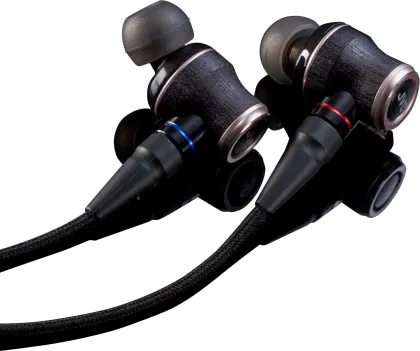 JVC HA-FW01 Wood Series Wired Earphones - Price in India (Apr 2026 ...