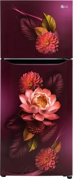 LG GL-S292SRWY 240 L 2 Star Double Door Refrigerator Price in India ...