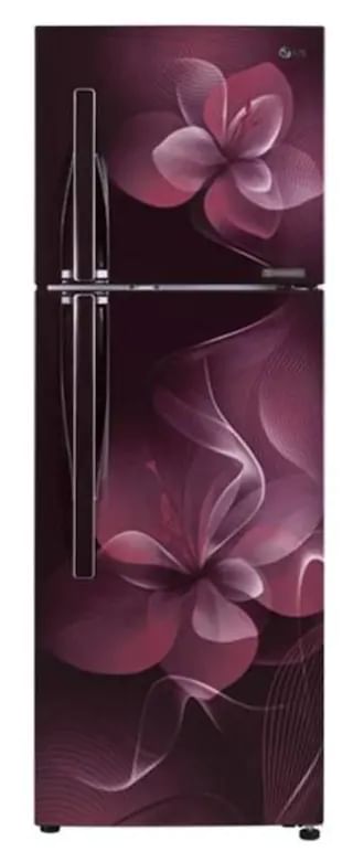 LG GL-F282RSDX 255L 4 Star Double Door Refrigerator Price in India 2024, Full Specs & Review ...