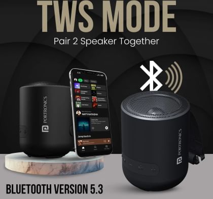 Portronics SoundPot 20W Bluetooth Speaker Price in India 2024, Full ...