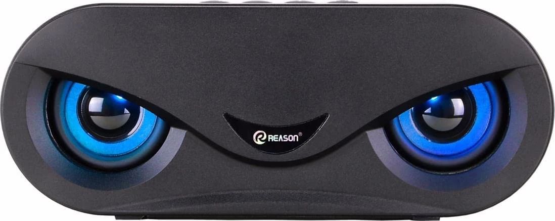 Reason Supersonic D8 10W Bluetooth Speaker Price in India 2024, Full ...