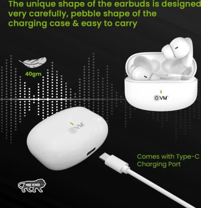 EVM EnBuds Pro True Wireless Earbuds Price in India 2024, Full Specs ...
