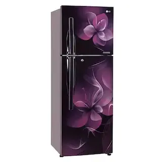LG GL-F282RHDX 255L 4 Star Double Door Refrigerator Price in India 2025, Full Specs & Review ...