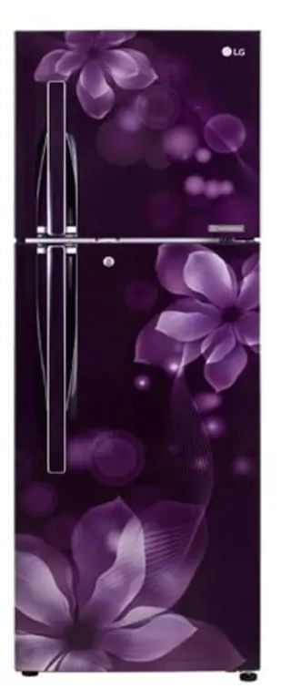 LG GL-F282RPOY 255L 3 Star Double Door Refrigerator Price in India 2023, Full Specs & Review ...