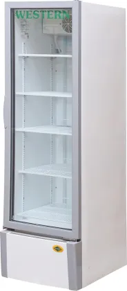 Western SRC360HCF-GL 302 L Single Glass Door Visi Cooler Price in India ...